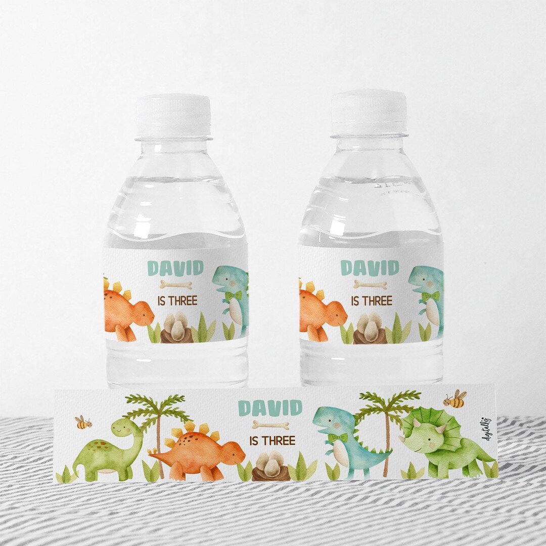 Editable Dinosaur Birthday Bottle Labels: T-rex Party Decor (printable ...