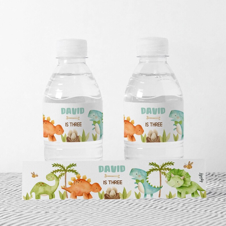 Editable Dinosaur Bottle Labels for T-rex Birthday Party Decorations ...