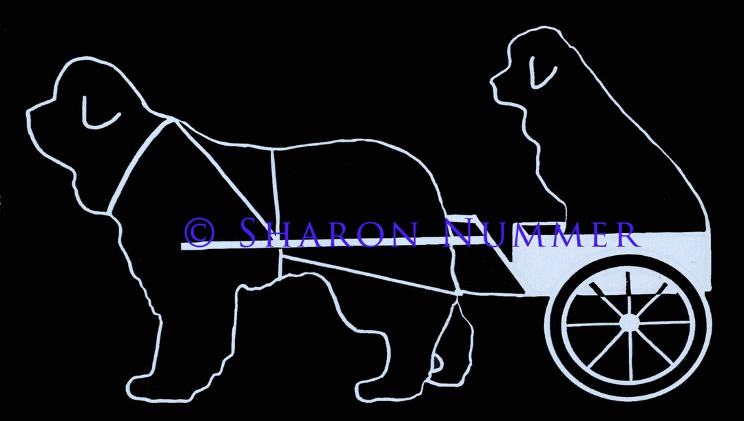 Original Newfoundland Dog Sticker/ Vinyl Decal by S Nummer - Etsy