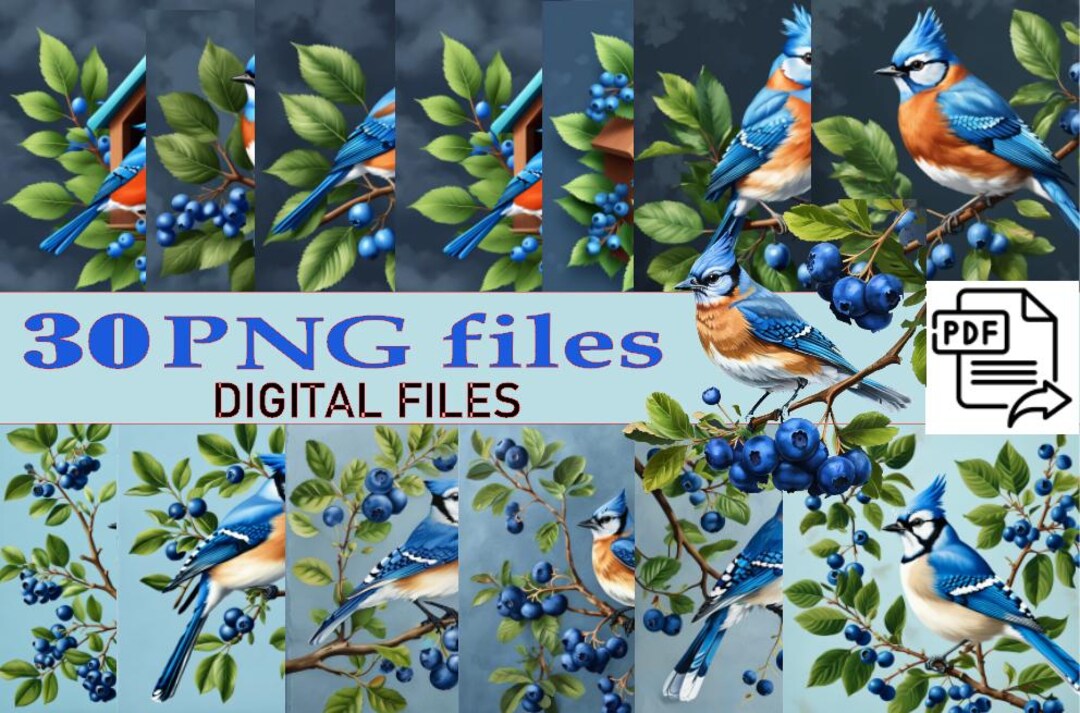 Bird , Digital Paper Pack, Commercial Use, Gift Wrap Print, Wallpaper ...