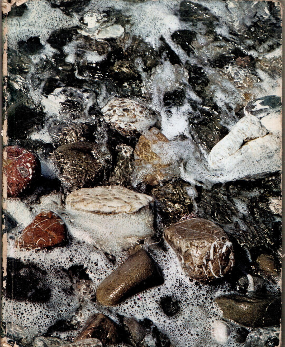 PHYSICAL GEOLOGY Textbook for Students Vacation Attractions Dynamic ...