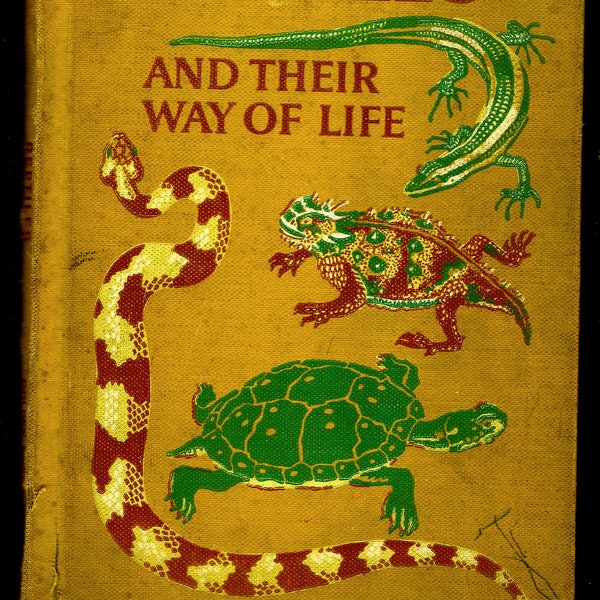 Golden Press Books - Etsy