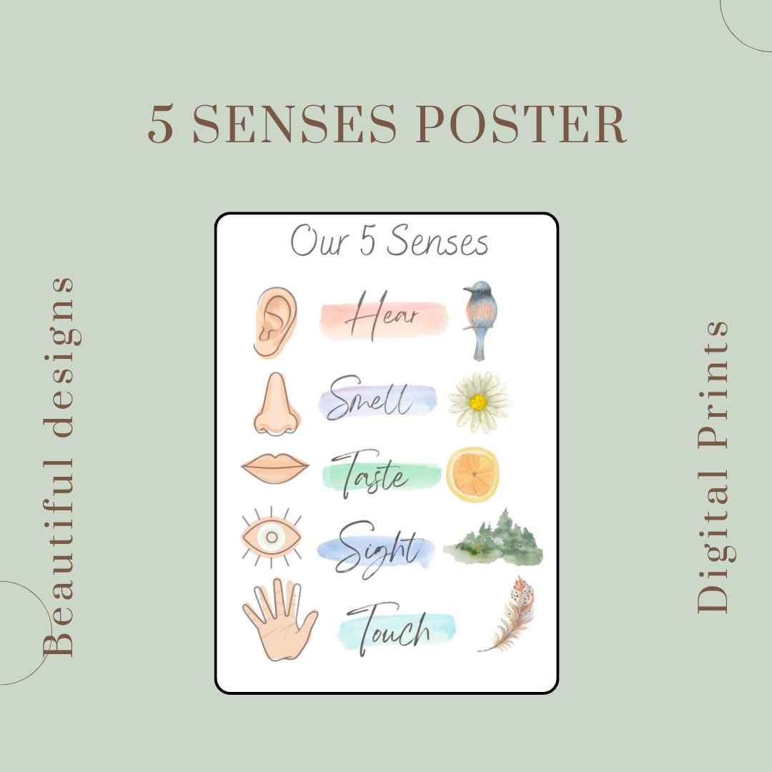Children's 5 Senses Poster Digital Print - Etsy