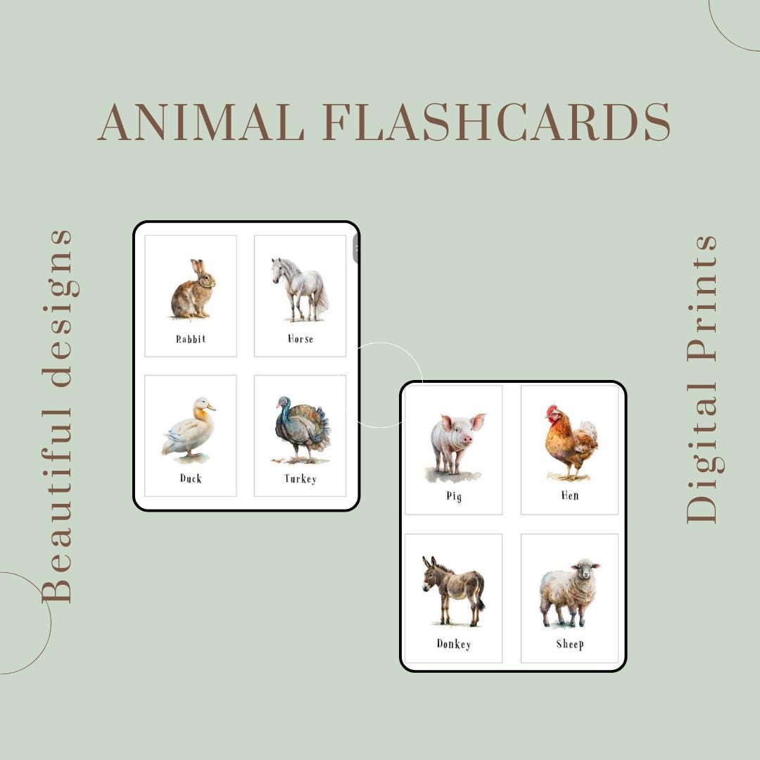 Animal Flashcards Digital Print - Etsy