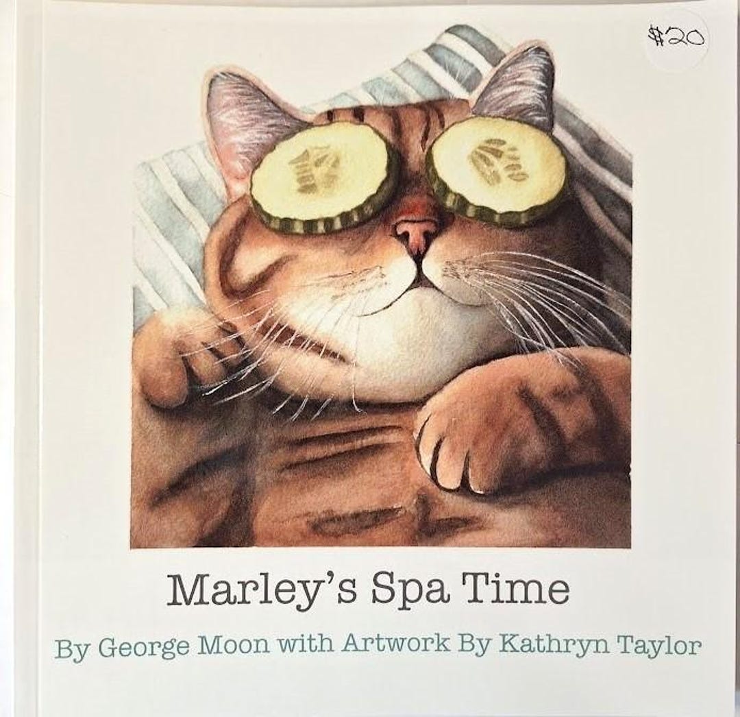 Children's Book Art, Illustrated Storybook for Kids, Book for Cat ...