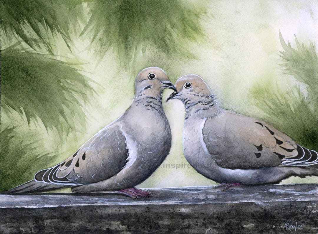 Doves of Serenity – Peaceful Mourning Doves by Kathryn Taylor - Etsy