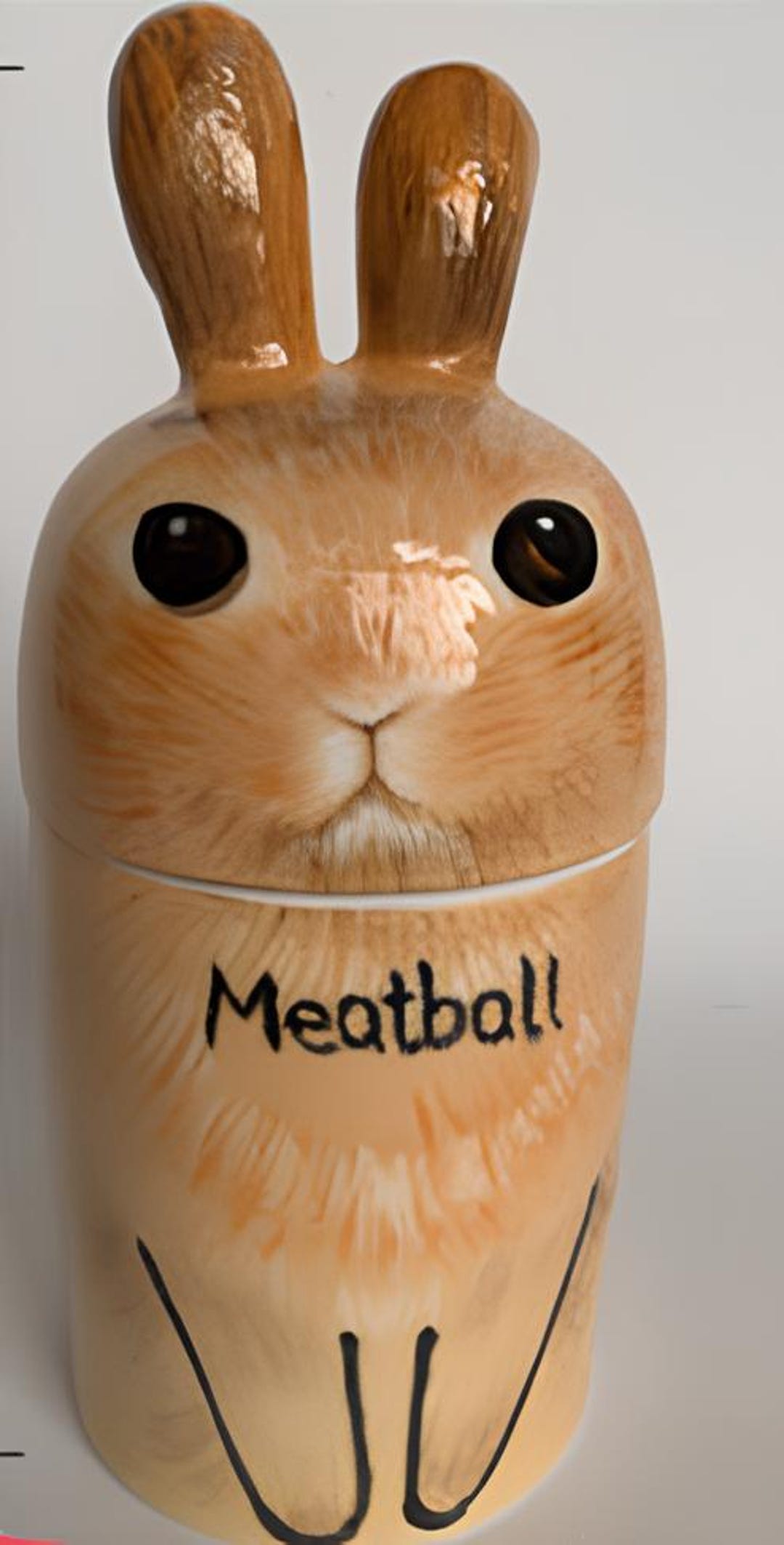 Personalized Bunny Urn With Lid, Portrait Bird/hamster Urn for Ashes ...
