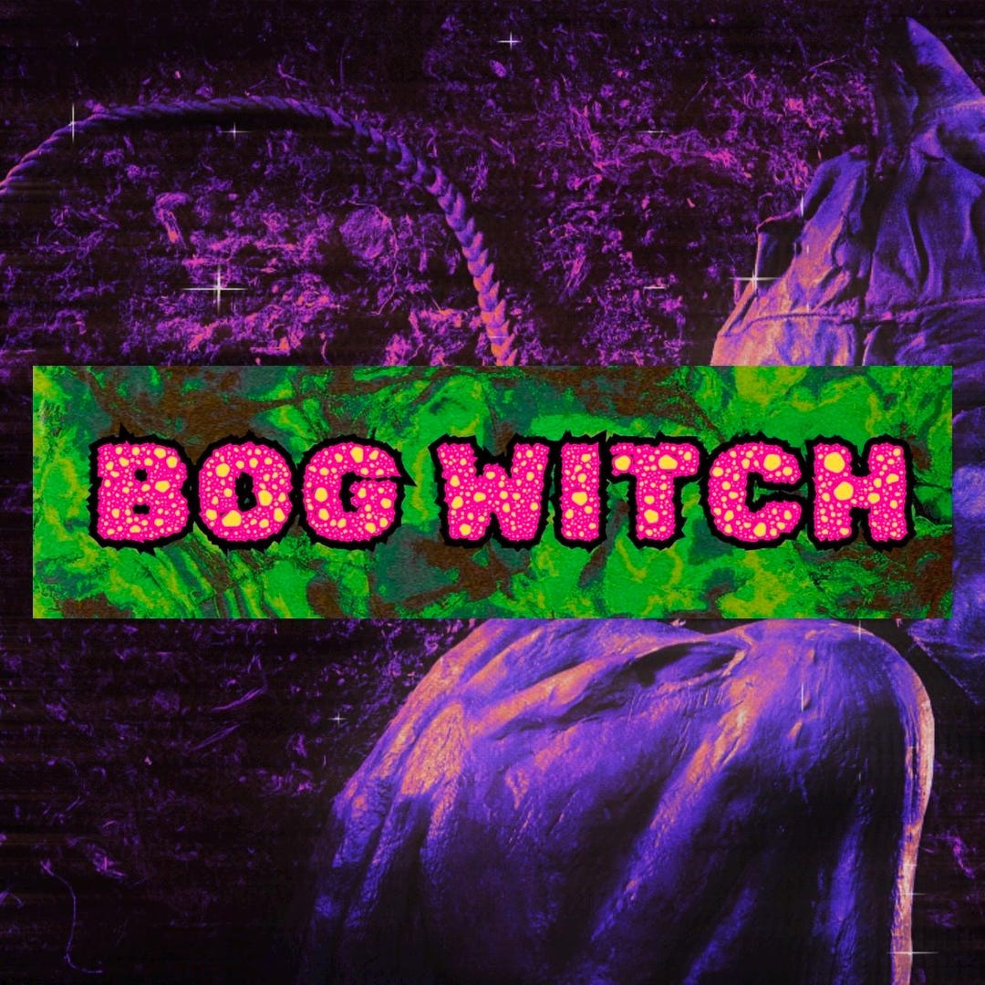 Bog Witch Weirdcore Green Pink Black Bumper Sticker - Etsy