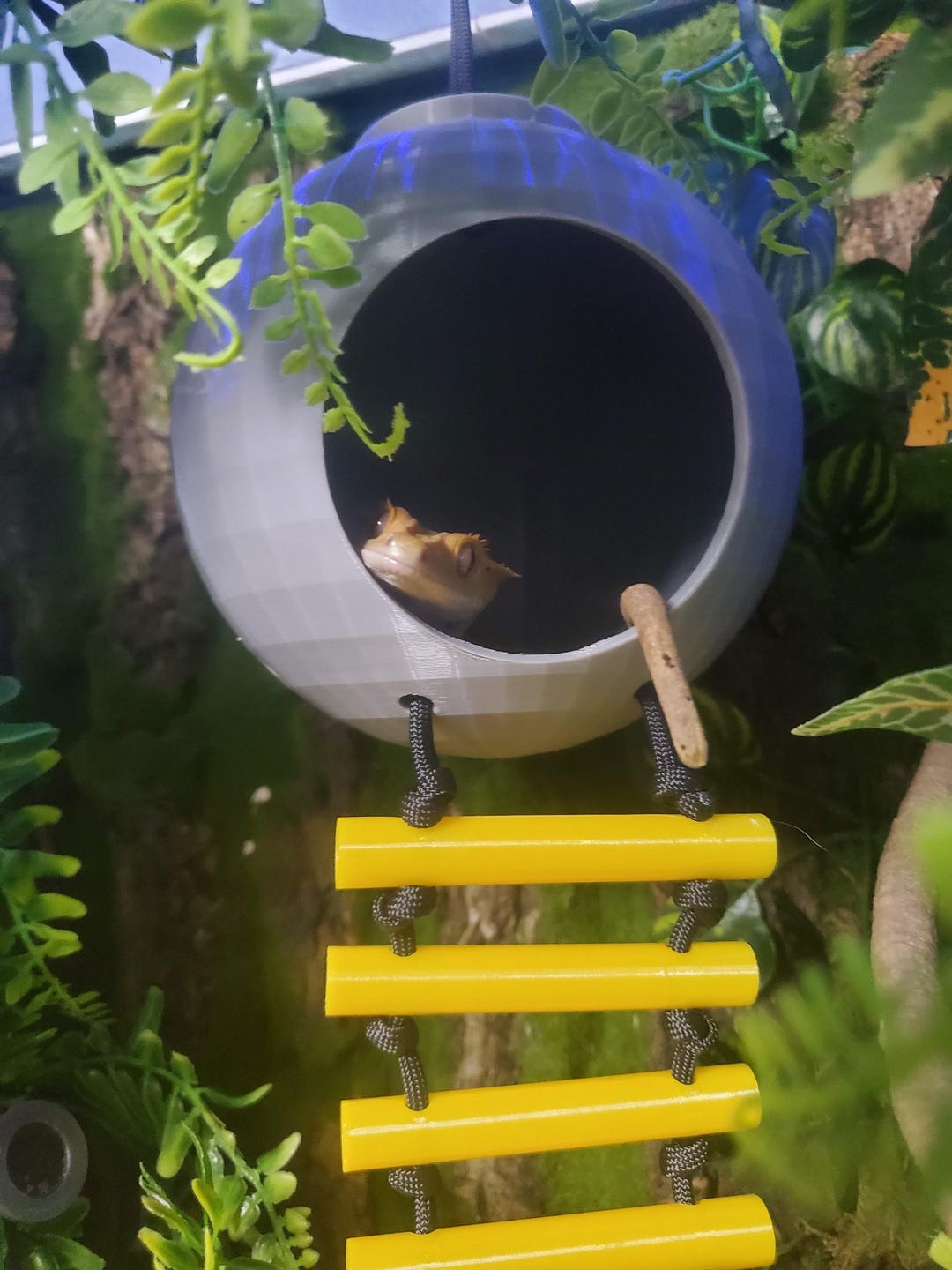 Gecko Coconut Hide With Ladder, Reptile Habitat, 3D Printed - Etsy