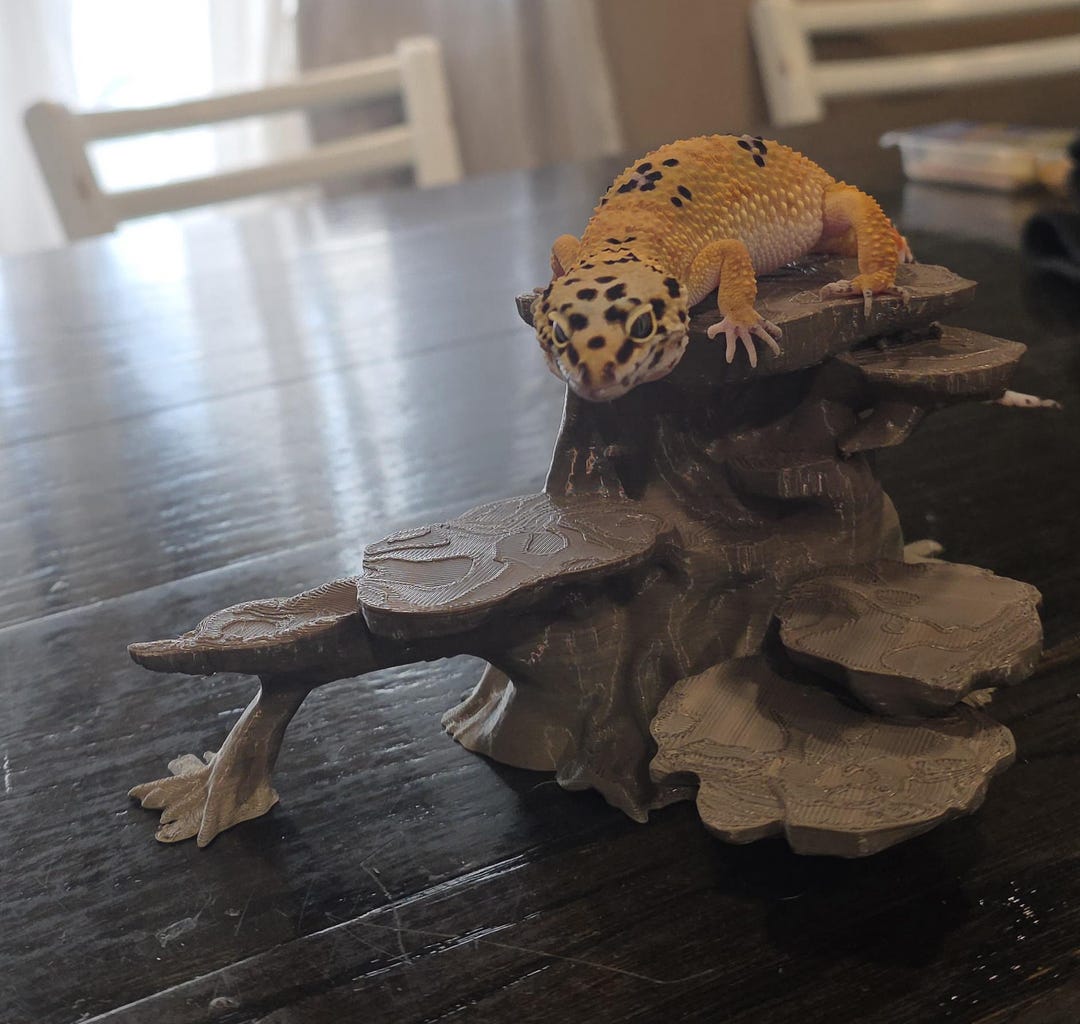 3D Printed Root Platform and Decor. Perfect for Gecko, Snake, Spider ...