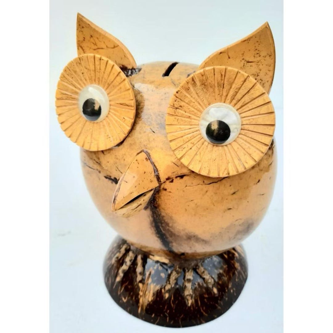 Coconut Shell Piggy Bank Owl, Wooden Piggy Bank, Rare Collection, Adult ...