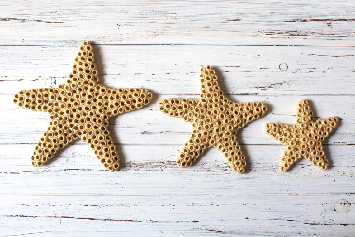 Ocean Decor Sea Star Starfish Decor Home Decor Wall Art - Etsy