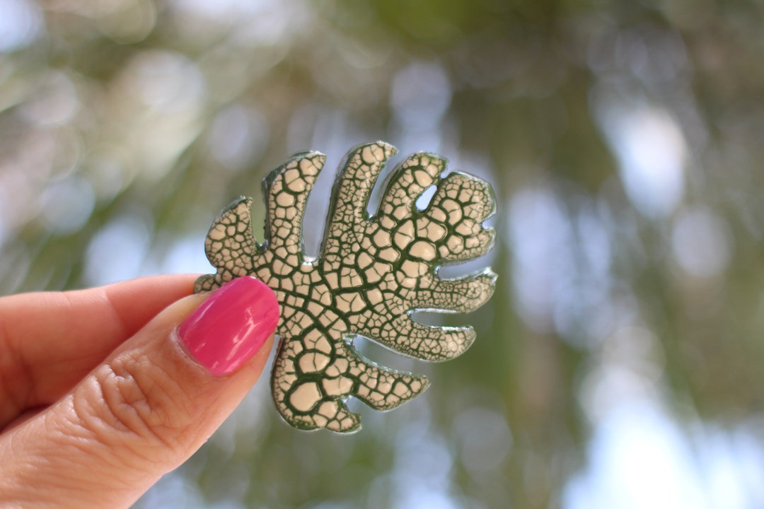 Variegated Monstera Ceramic Monstera Plant Monstera Leaves - Etsy