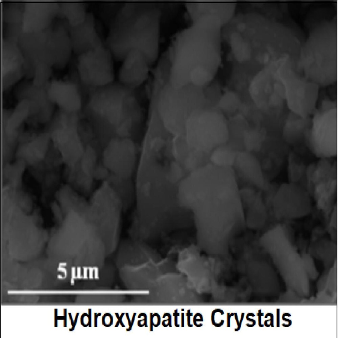 Pure Hydroxyapatite Remineralizing Powder: Oral Health Supplement - Etsy