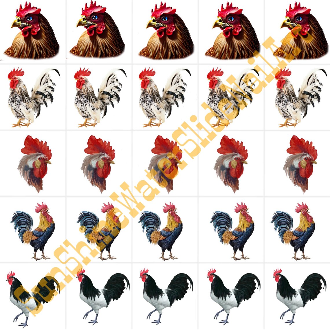 Roaster Waterslide Nail Art Set of 50 - Etsy