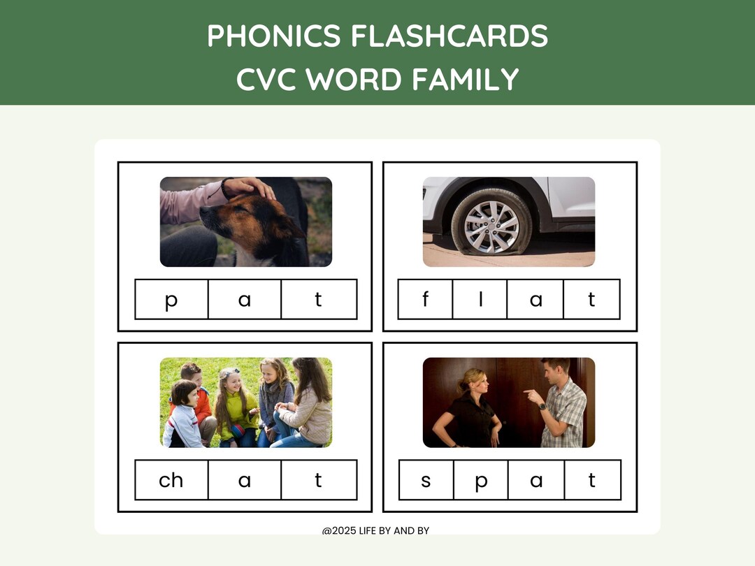 Orthographic Mapping Phonics Cards | Science of Reading Flashcards ...