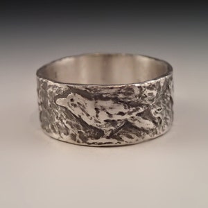 Bird Ring - Raven - Crow - Rook - Currawong - Handmade Art Jewelry - Etsy