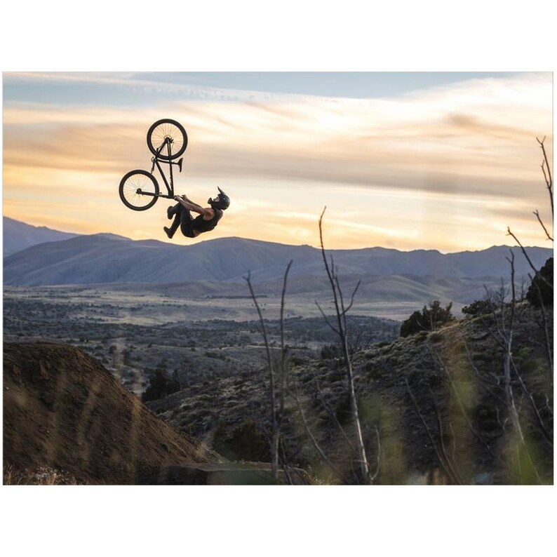 Freeride Mountain Bike Poster: Ryan Cleek's Flipwhip MTB Wall Art - Etsy