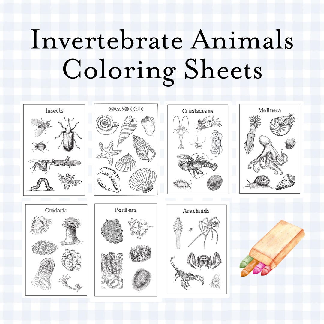 Invertebrate Animals Coloring Sheets | Printable, Digital Download - Etsy