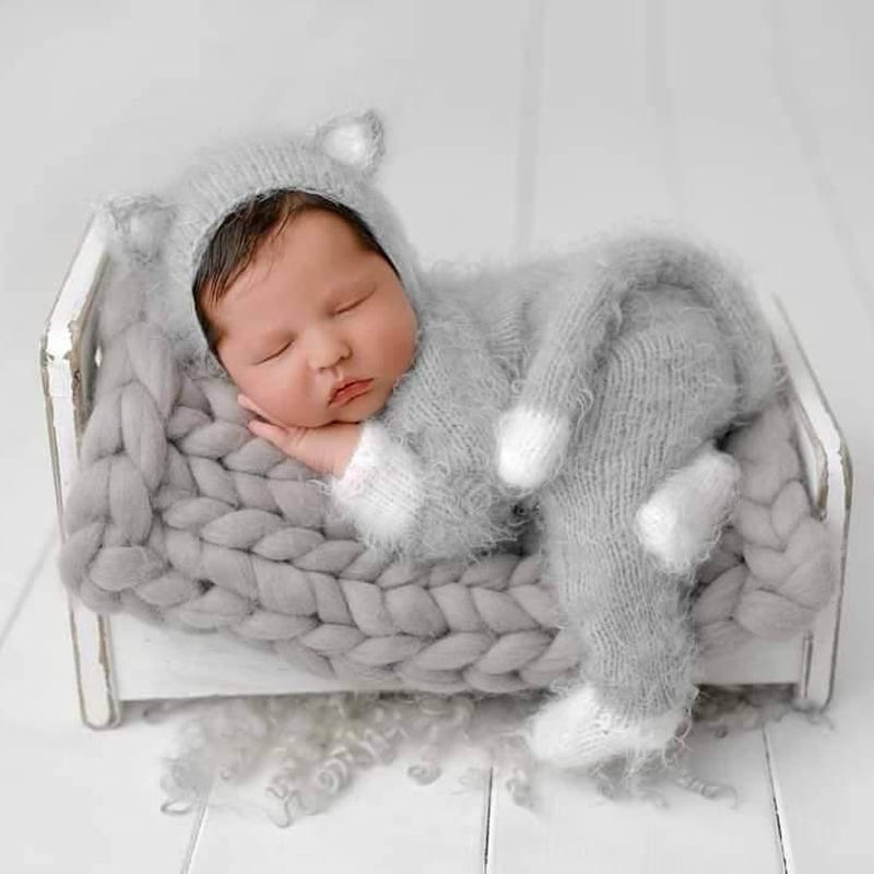 Kitten Photography - Etsy