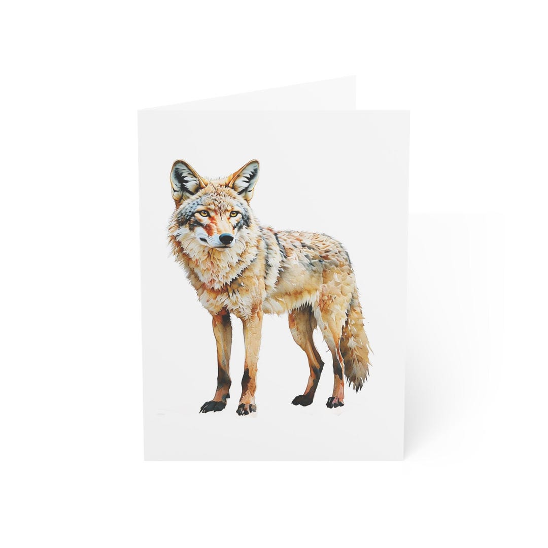Coyote Greeting Card - Etsy
