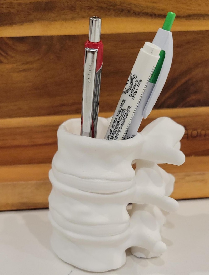 Lumbar Spine Holder, Lumbar Spine Replica, Lumbar Spine Pen Holder ...