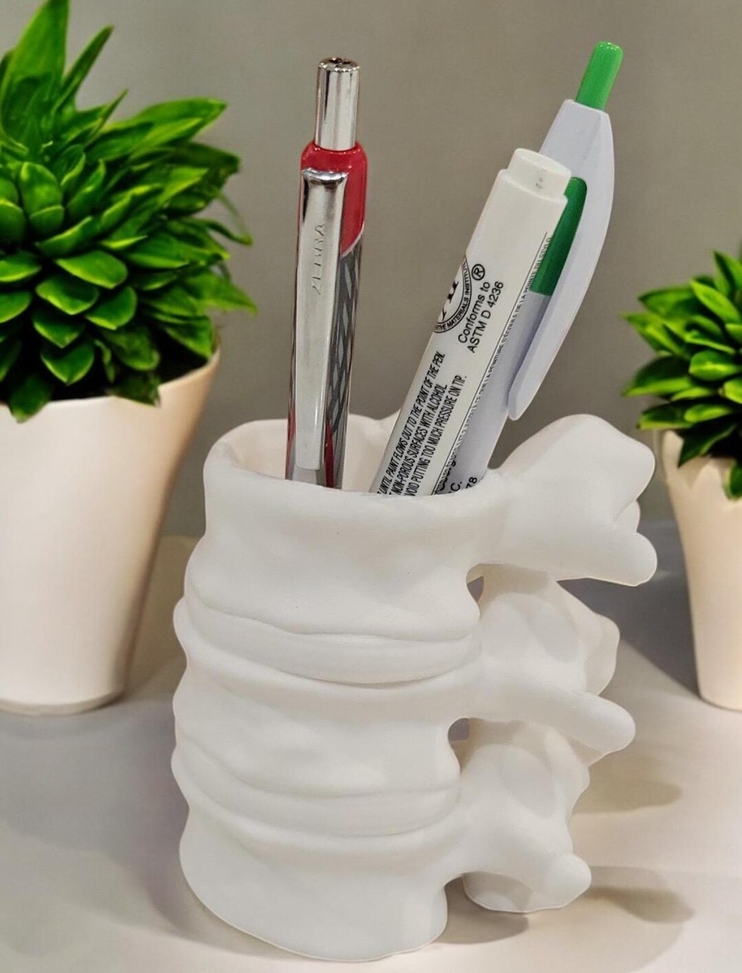 Lumbar Spine Holder, Lumbar Spine Replica, Lumbar Spine Pen Holder ...