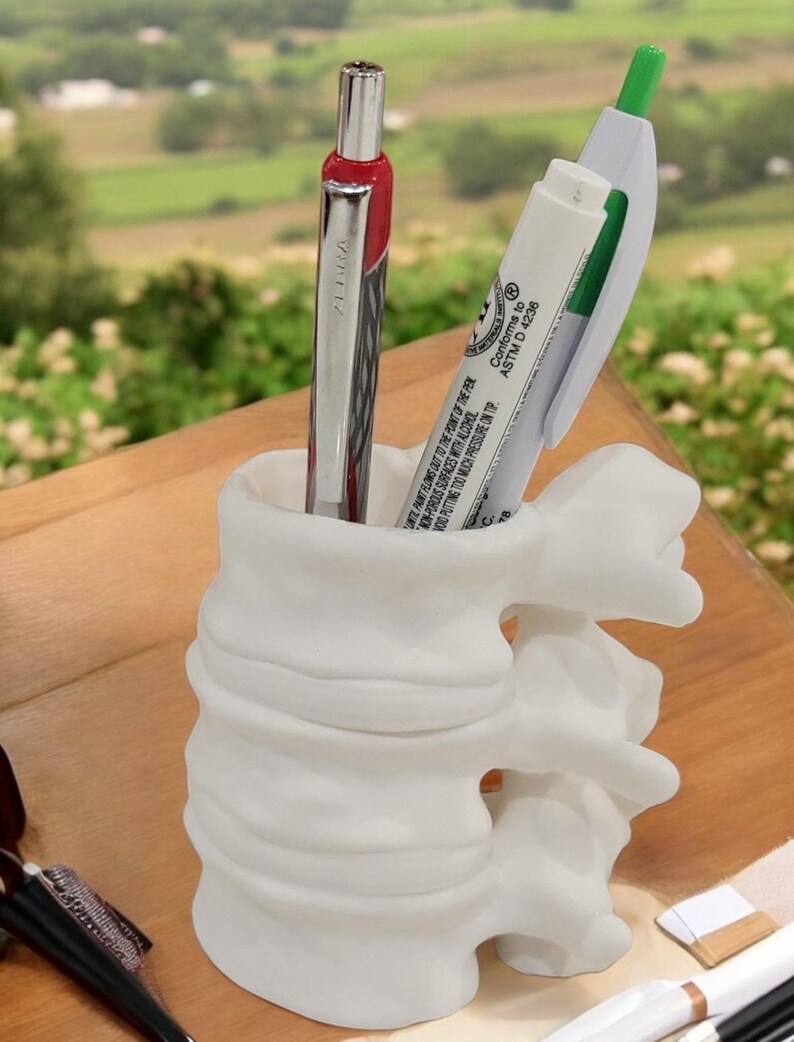 Lumbar Spine Holder, Lumbar Spine Replica, Lumbar Spine Pen Holder ...