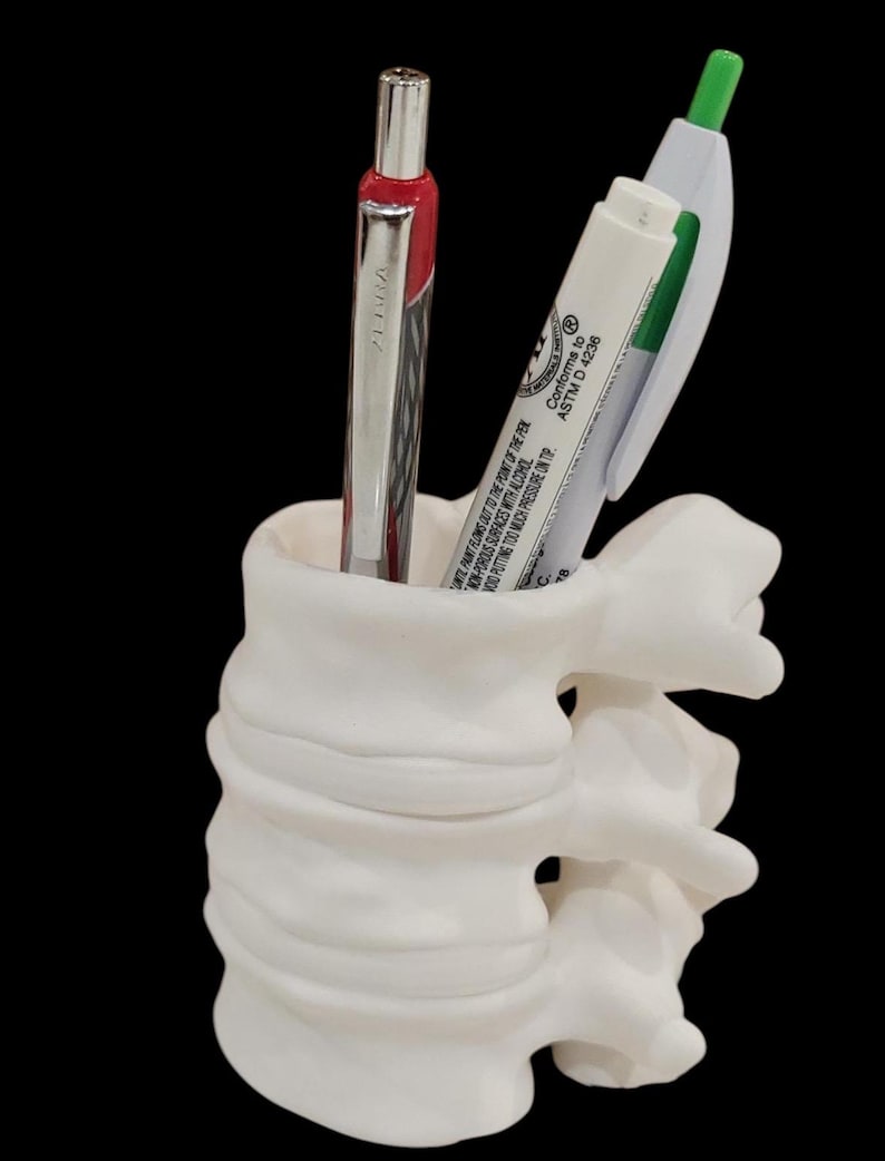 Lumbar Spine Holder, Lumbar Spine Replica, Lumbar Spine Pen Holder ...
