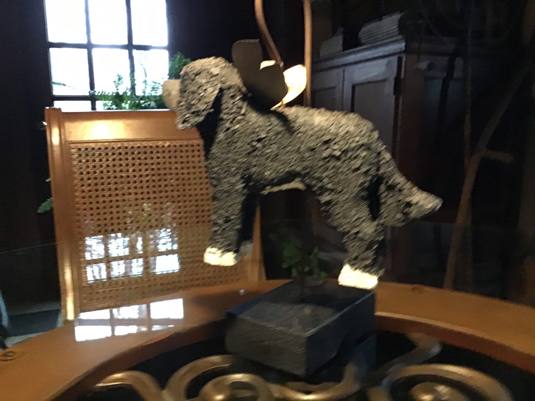 Carved labradoodle or golden doodleblack and white with wings | Etsy