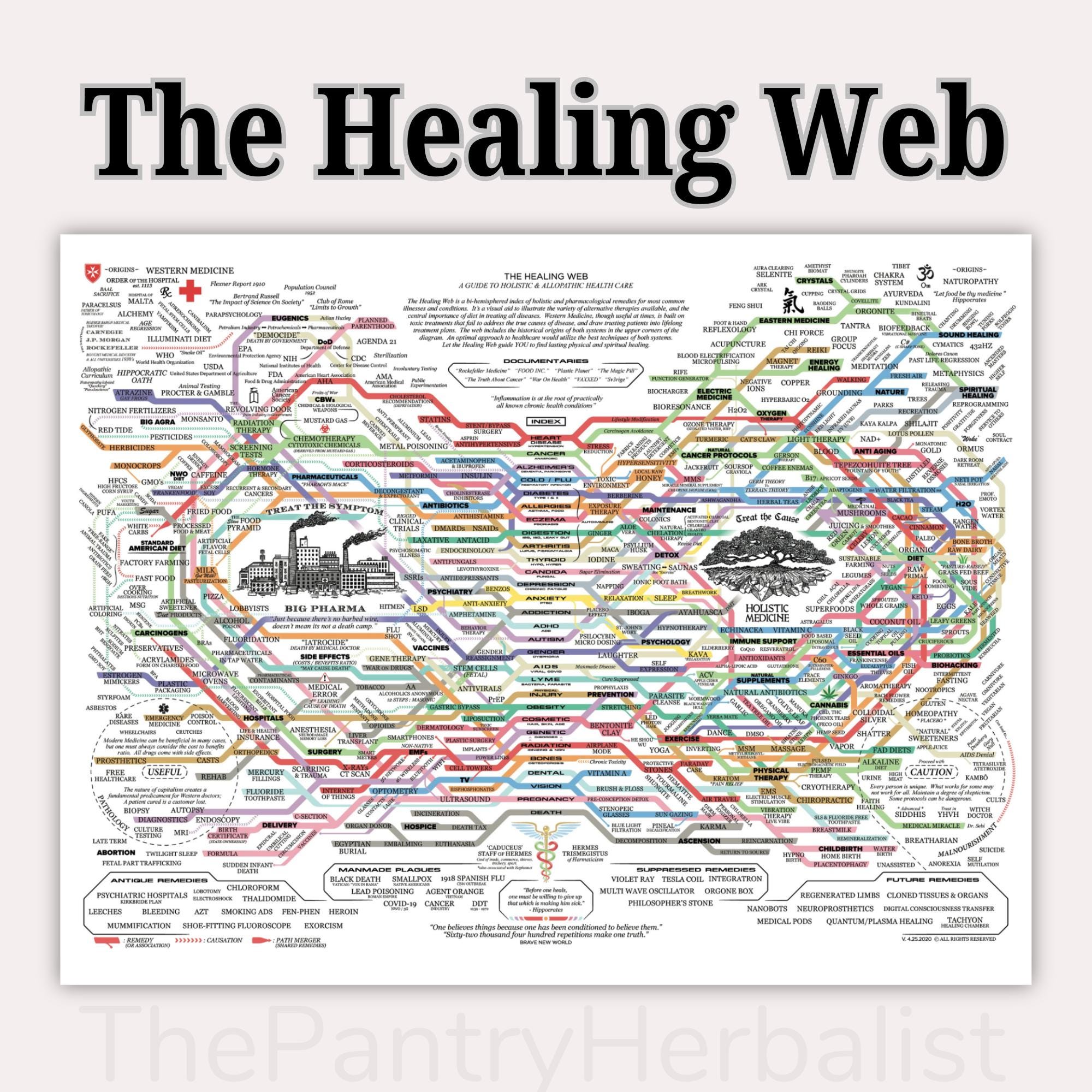 The Healing Web Digital Download | Holistic Health Chart | Alternative ...