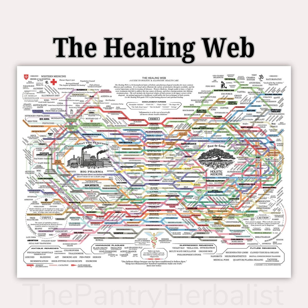 The Healing Web Digital Download | Holistic Health Chart | Alternative ...