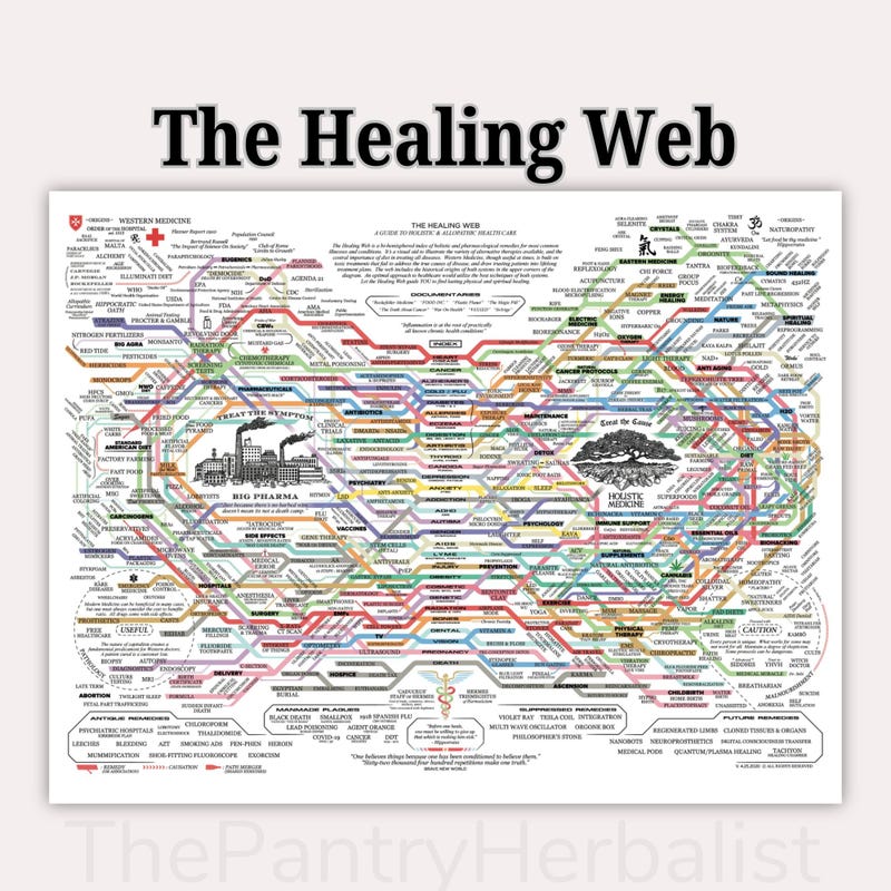 The Natural Healing Handbook by Greenhaven Press - Etsy Canada