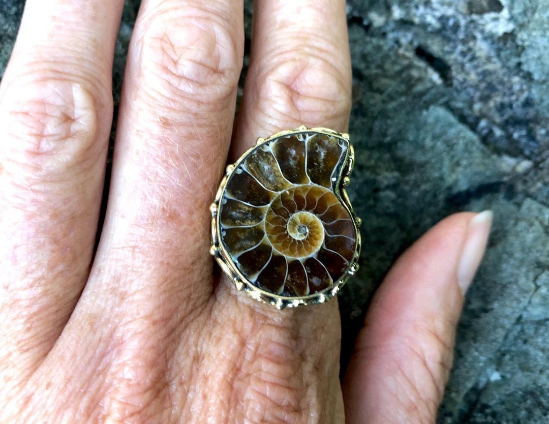 Brass Ammonite Ring / Gold Ammonite Fossil Ring / Natural Sacred ...