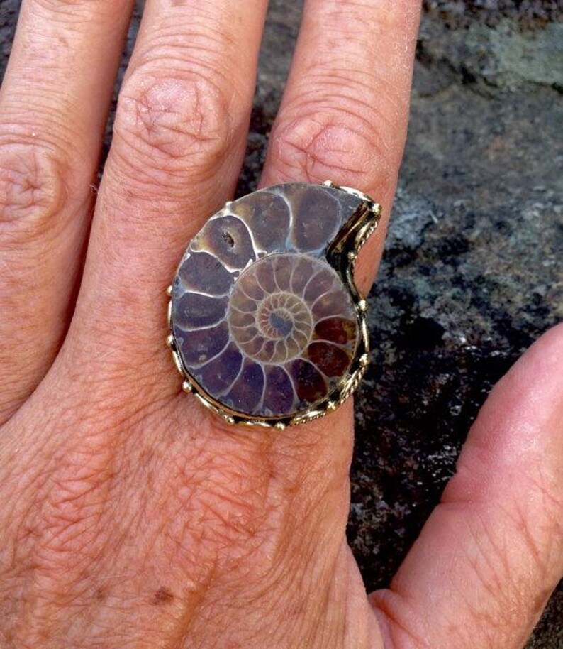Brass Ammonite Ring / Gold Ammonite Fossil Ring / Natural Sacred ...