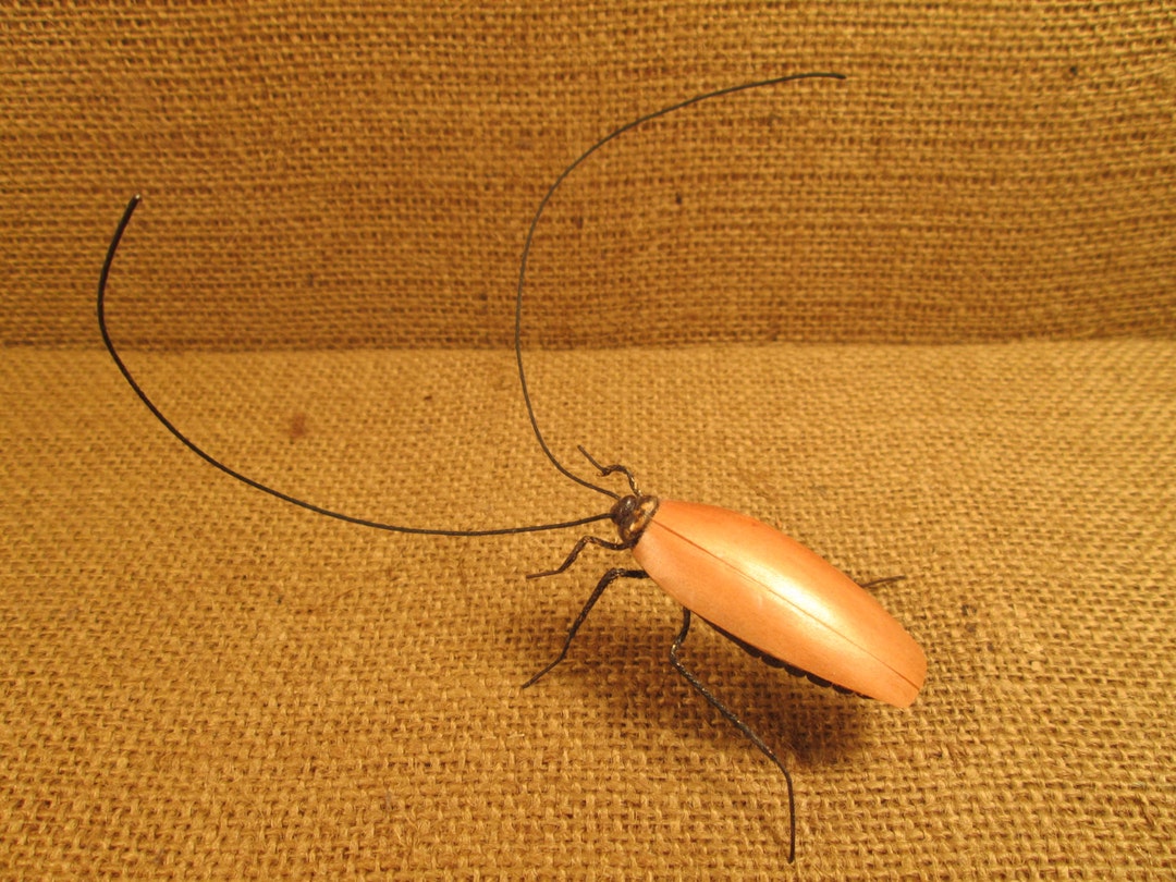 Cockroach Lifelike - Etsy