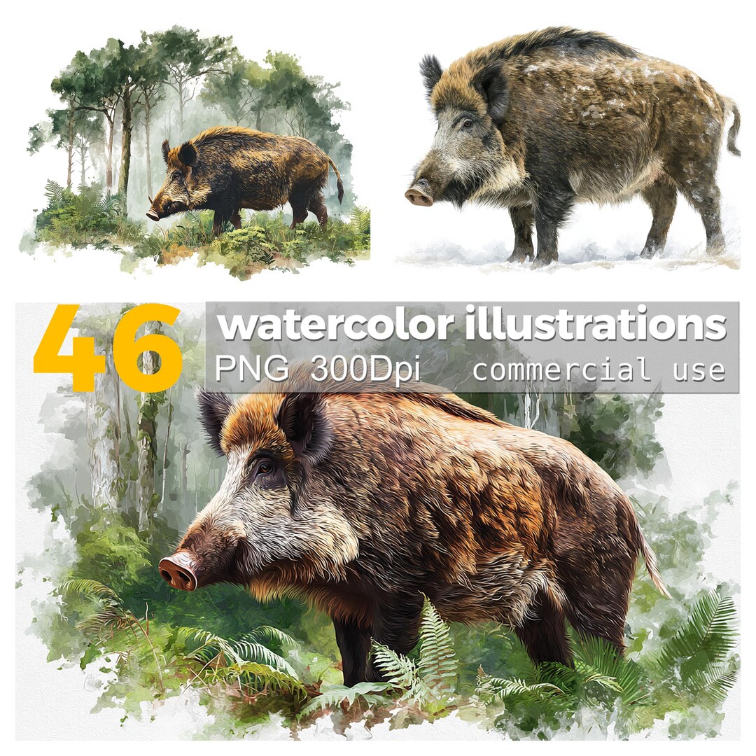Watercolor Wild Boar Clipart: Forest Animal Illustrations (PNG Digital ...