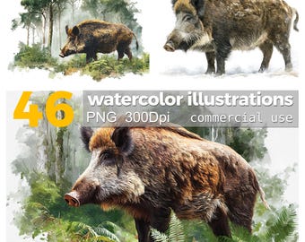 Watercolor Wild Boar Clipart: Forest Animal Illustrations (PNG Digital ...