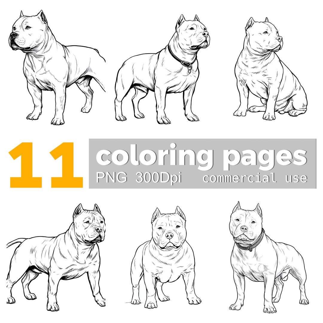 American Bully Dog Coloring Pages: Pet Theme Clipart (PNG Digital ...