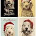 12 X Labradoodle Dog Christmas Postcard Illustrations: PNG Clipart ...