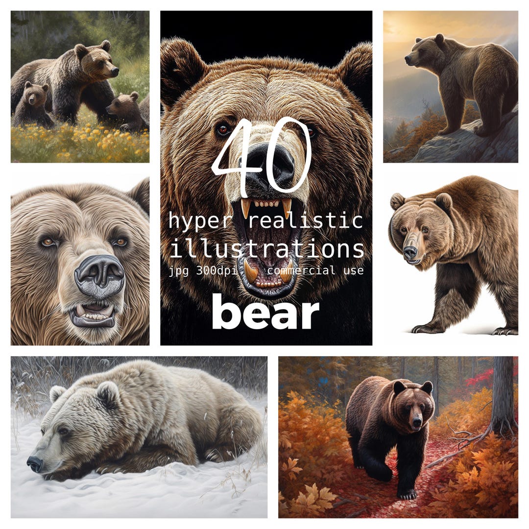 JPEG Hyper Realistic Illustrations of Bear Animal Commercial Use ...