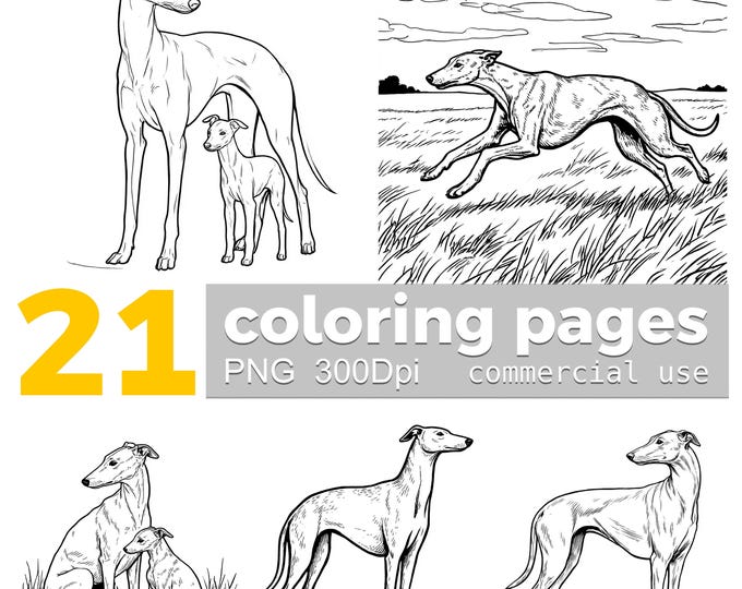 Greyhound Dog Colouring in Sheet 2 - Etsy Canada