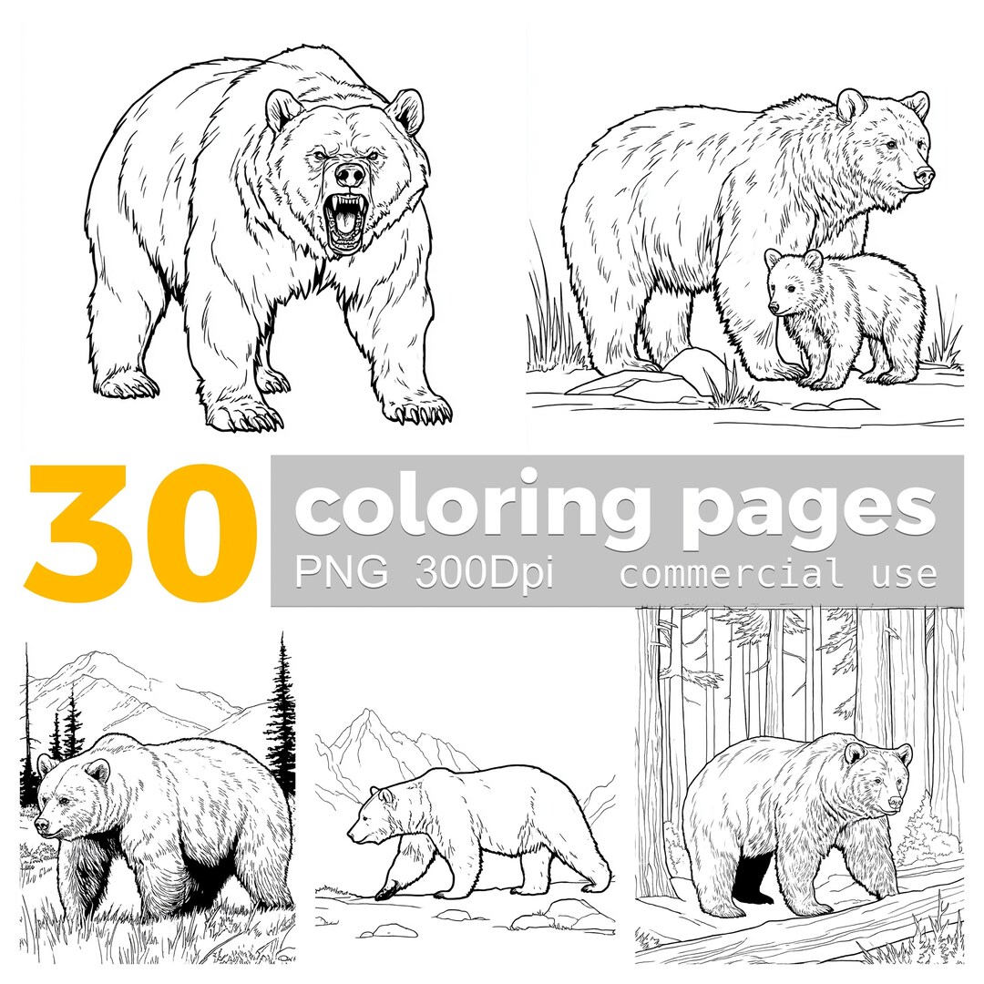 Bear Coloring Pages: Forest Animals Clipart (30 PNG Digital Download ...