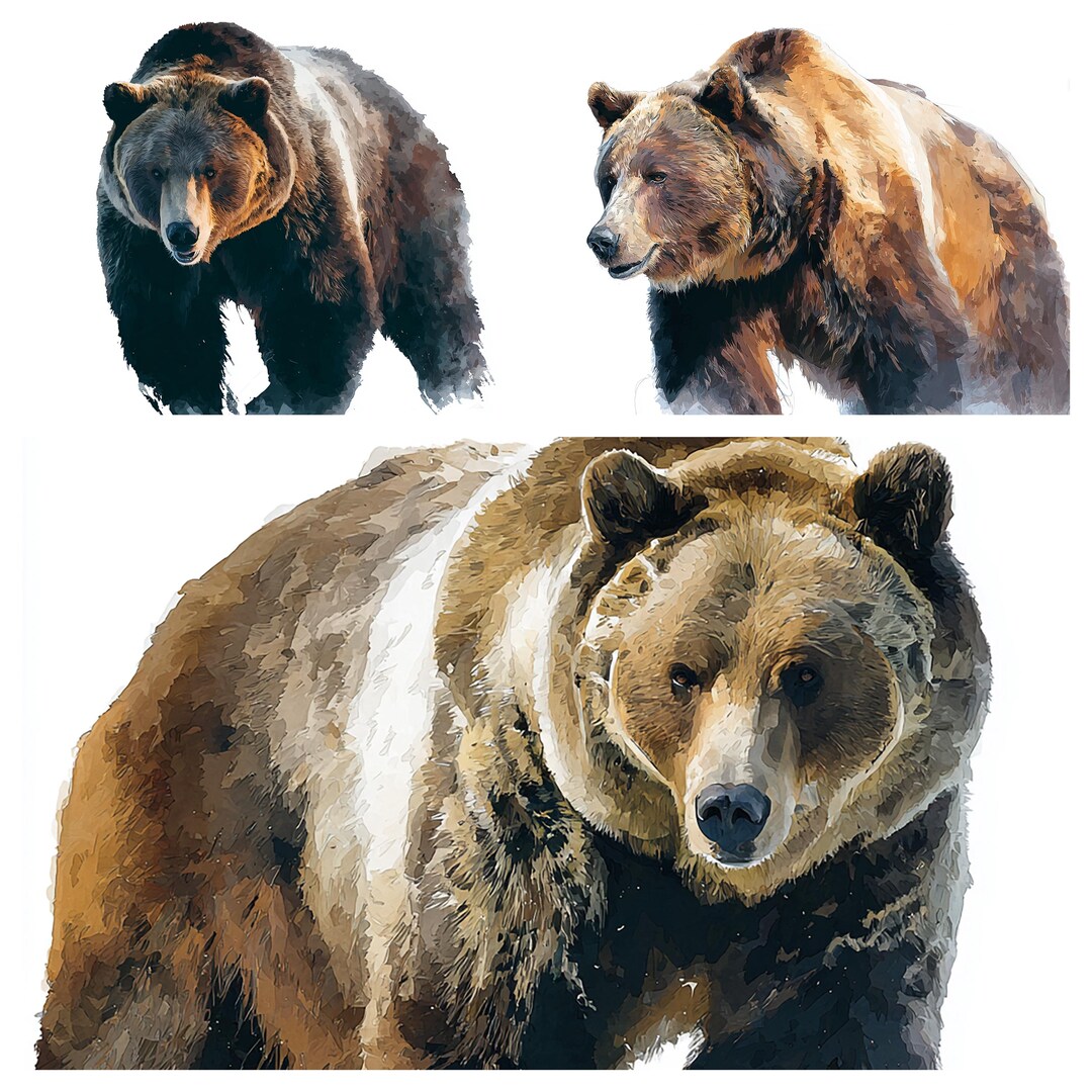 Watercolor Brown Bear Clipart: 100 PNG Wildlife Illustrations ...