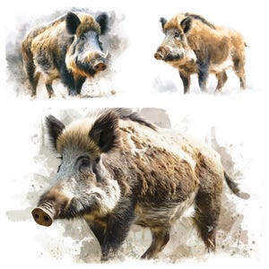 Watercolor Wild Boar Clipart: Forest Animal Illustrations (PNG Digital ...