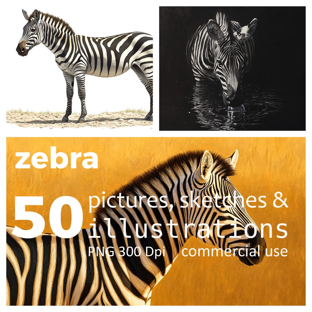 Zebra Illustrations: Africa Animal PNG Clipart (commercial Use) - Etsy