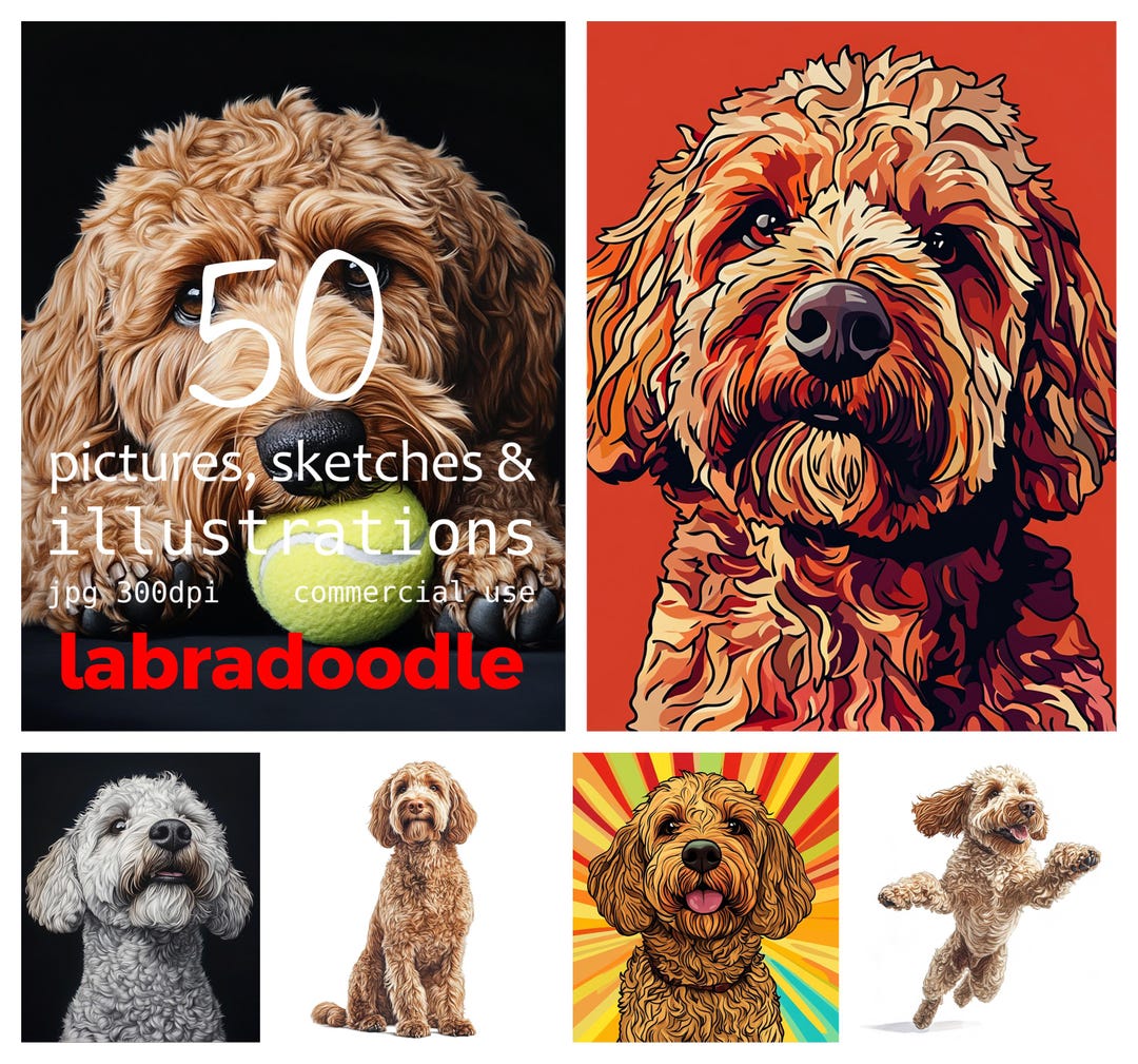 50 Labradoodle Dog Illustrations: Hyper Realistic JPEG Clipart ...