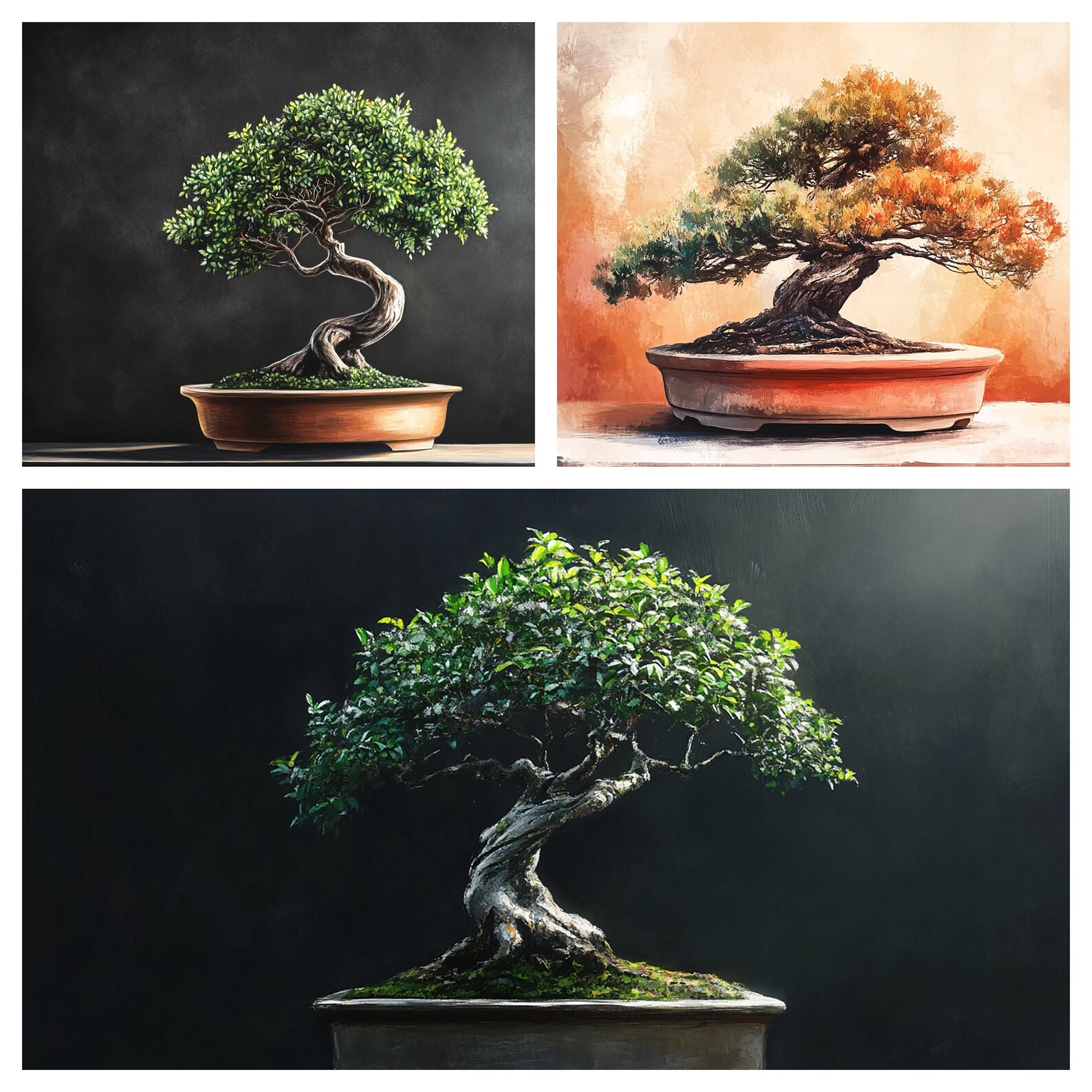 Japanese Bonsai Tree Art: 66 PNG Illustrations (commercial Use) - Etsy