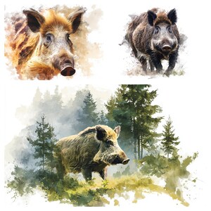 Watercolor Wild Boar Clipart: Forest Animal Illustrations (PNG Digital ...