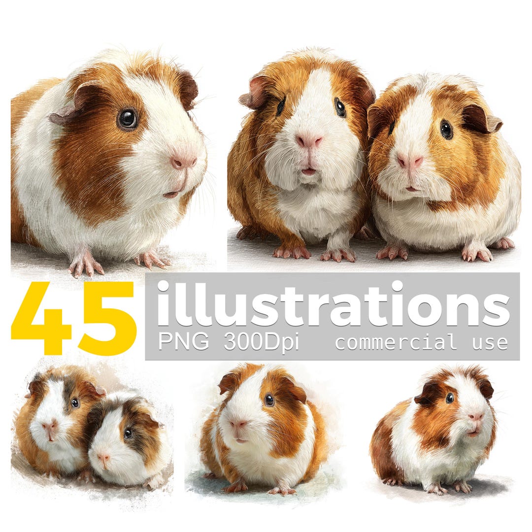 Watercolor Guinea Pig Pet Clipart: 45 PNG Illustrations (digital ...